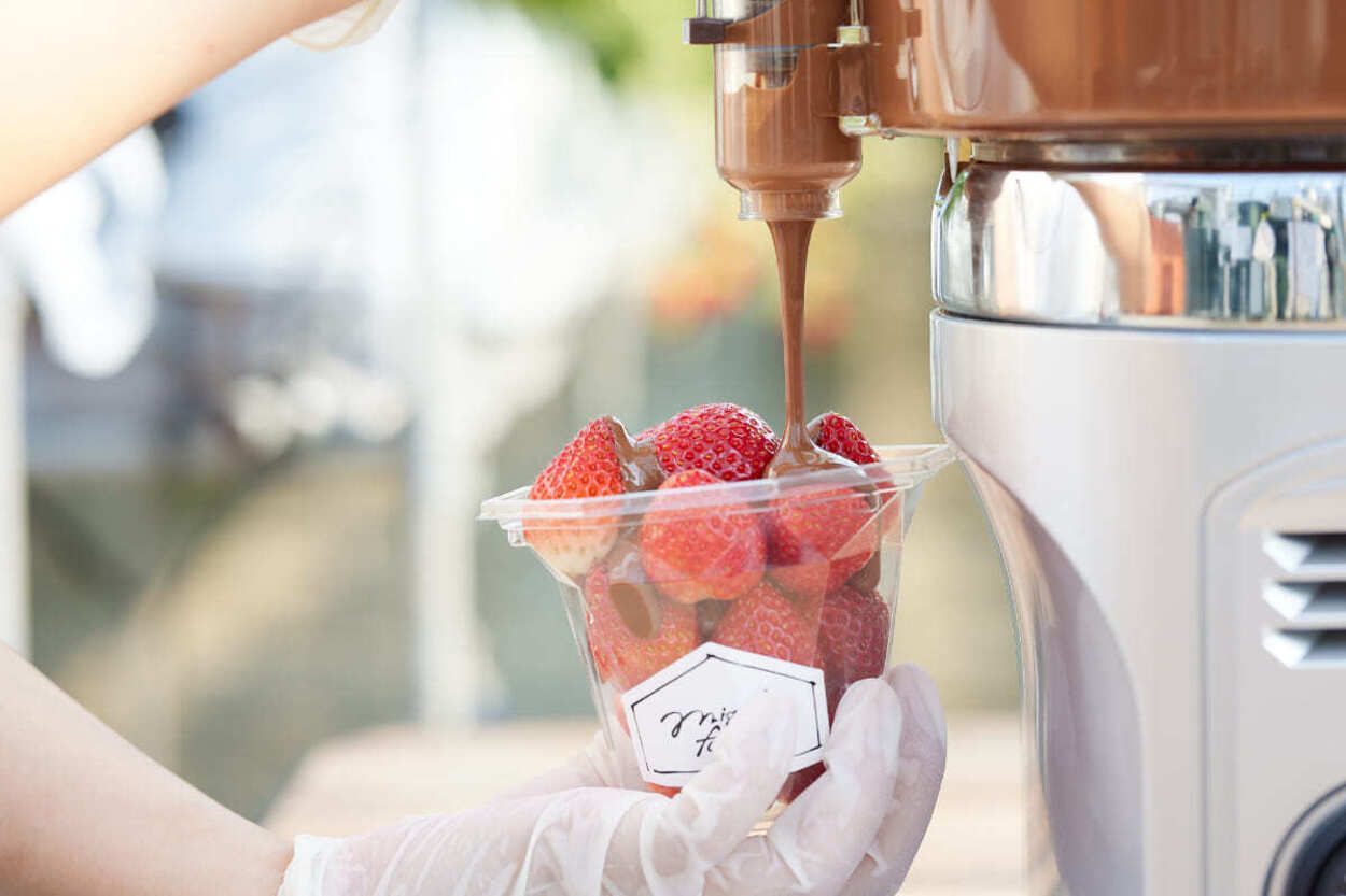 何度でもおかわり無限！チョコかけ放題【いちご狩り＆食べ放題】「500g超え！巨大パフェ」「SNS映え最強」仙台から40分でテンゴク♡鬼リピ確定 ...