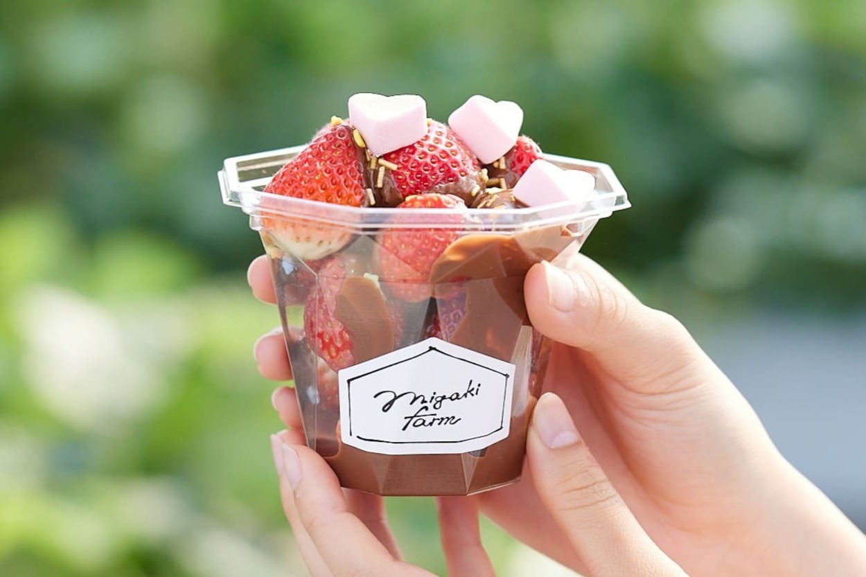 何度でもおかわり無限！チョコかけ放題【いちご狩り＆食べ放題】「500g超え！巨大パフェ」「SNS映え最強」仙台から40分でテンゴク♡鬼リピ確定 ...